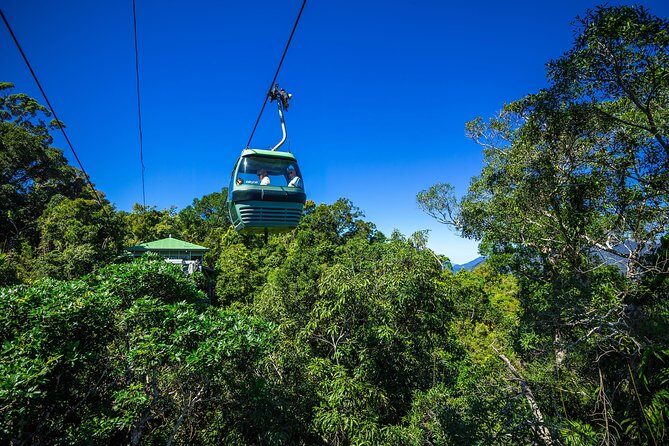 Classic Kuranda by Skyrail and Scenic Railway, Rainforestation & lunch. CKB - Who Is This Tour Best Suited For?