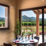 Classic Tour & Monovarietal Wines Tasting - The Guided Tour – What You Can Expect