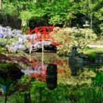 Clingendael: Japanse tuin - An In-Depth Look at the Tour