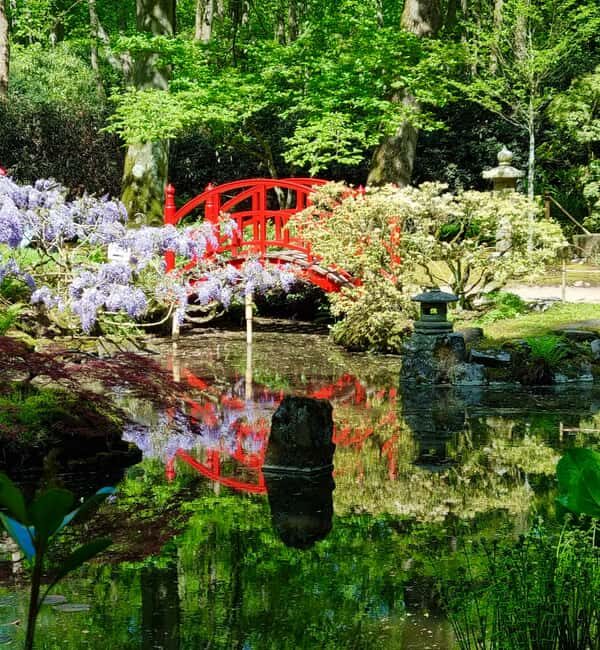 Clingendael: Japanse tuin - An In-Depth Look at the Tour