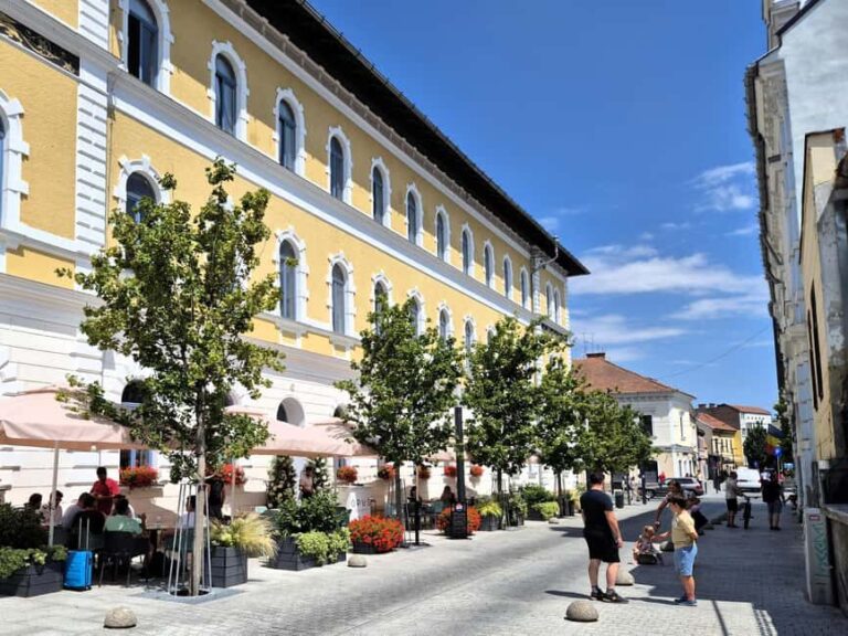 Cluj Insight: Walking tour with a travel writer & historian - Practical Details & Value Considerations