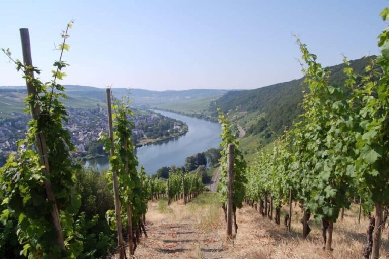 Cochem, Moselle: Wine experience hike with boat trip - Wine Tasting and Hearty Local Food