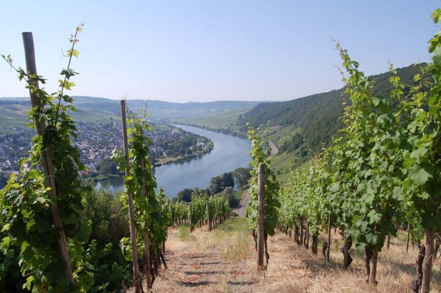 Cochem, Moselle: Wine experience hike with boat trip - Wine Tasting and Hearty Local Food