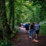Cockington: Sunset Sketch and Stroll with Sketch Kit - A Closer Look at the Experience