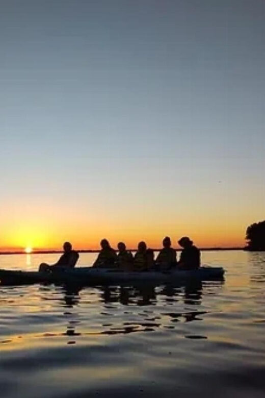 Cocoa Beach/Merritt Island: Guided Dolphin and Manatee Tour - The Itinerary in Detail