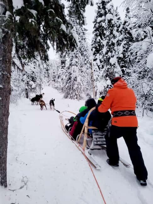 Combo TourHusky and Reindeer Sledding Ride in Levi - What the Reviews Say