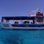 Coral Bay 1-Hour Coral Viewing - The Experience: What to Expect