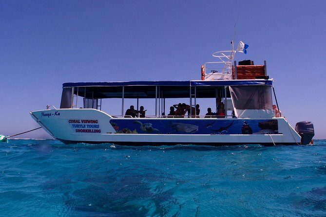 Coral Bay 1-Hour Coral Viewing - The Experience: What to Expect