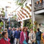 Córdoba Patio Competition: A unique experience of flowers and tradition. - Who Would Enjoy This Tour?