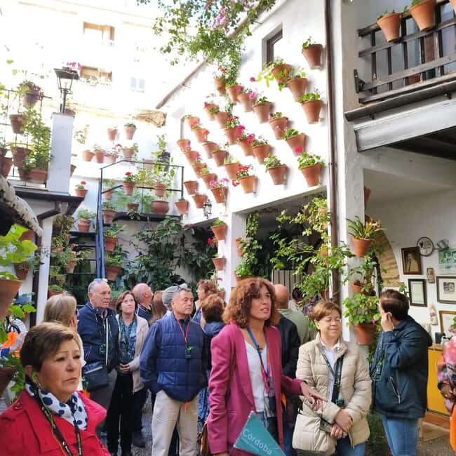 Córdoba Patio Competition: A unique experience of flowers and tradition. - Who Would Enjoy This Tour?