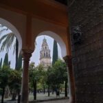 Córdoba: Private Walking Tour - Why This Tour Stands Out