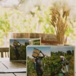 Corfu: E-Bike Tour with Wine Tasting and Winery Visit - The Scenic Ride: Olive Groves and Coastal Paths
