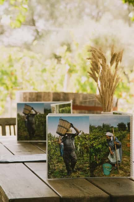 Corfu: E-Bike Tour with Wine Tasting and Winery Visit - The Scenic Ride: Olive Groves and Coastal Paths