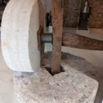 Corfu: Olive Oil and Kumquat Tasting Tour with Minivan - Who Will Enjoy This Tour?