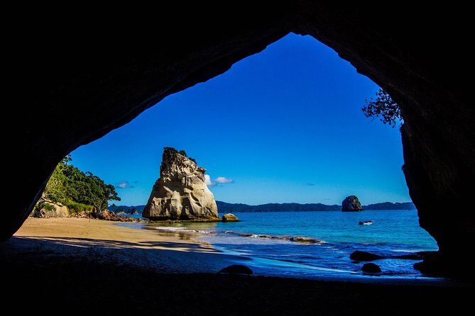 Coromandel Coastal Experience - Small Group Tour from Auckland - Transport and Comfort: Why It Matters