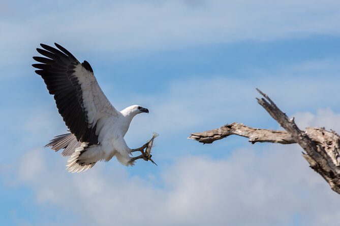 Corroboree Billabong Wetland Cruises - 1.5 hour Morning cruise - Who Will Love This Tour?