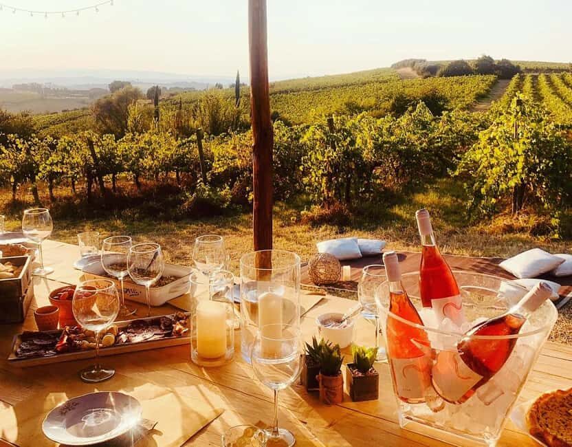Cortona: Organic wines tasting at Colle Acacia's vineyards - Valuing the Price