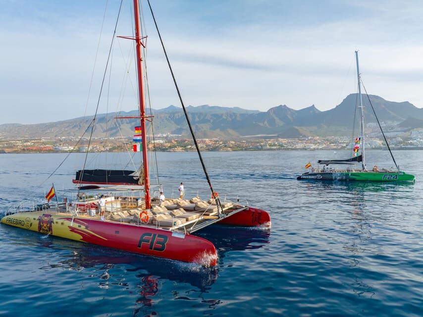Costa Adeje: Masca and Los Gigantes Whale Watching Cruise - Practical Tips for Travelers