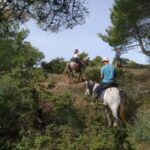 Countryside Horseback Ride in Gjinofshat - Who Would Love This Tour?