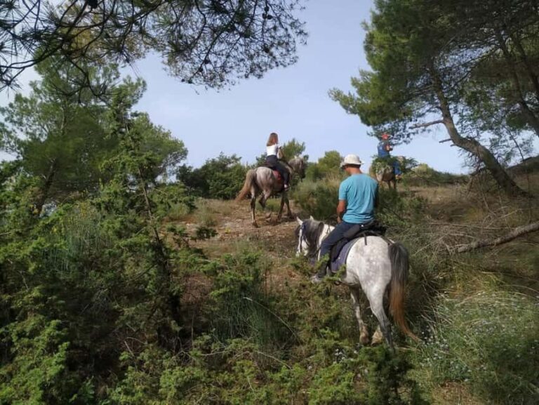 Countryside Horseback Ride in Gjinofshat - Who Would Love This Tour?