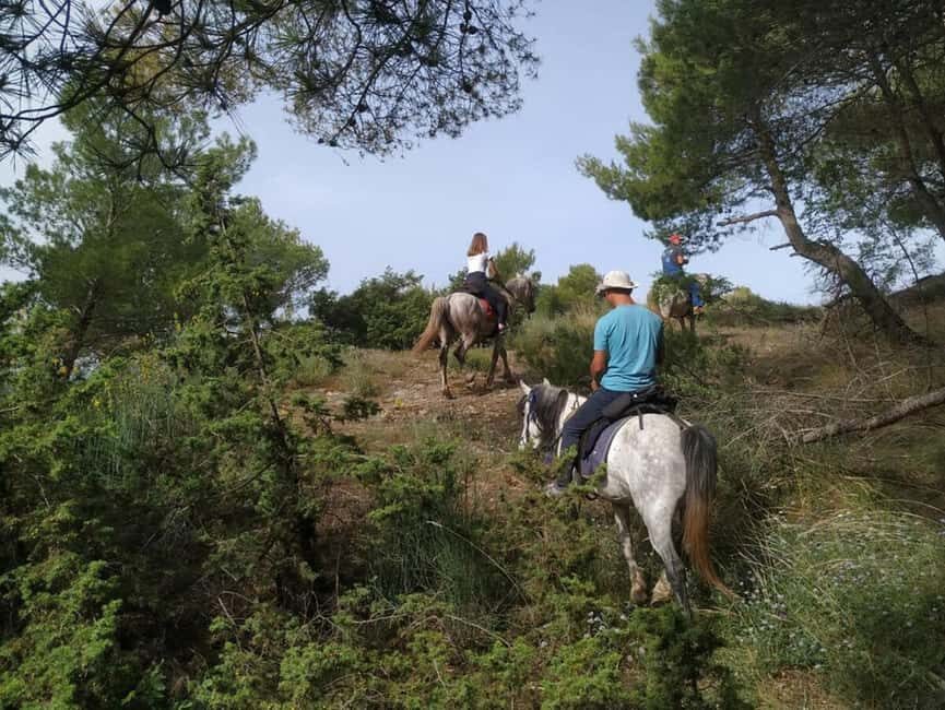 Countryside Horseback Ride in Gjinofshat - Who Would Love This Tour?