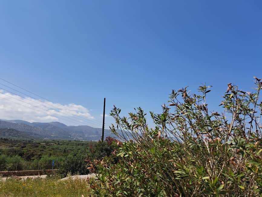 Crete: Malia, Potamos Beach, and Sissi Tuk Tuk Tour - What Makes This Tour Stand Out?