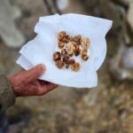 Crete: Rouvas Forest Truffle Hunt and Beekeeping Experience - The Itinerary in Detail