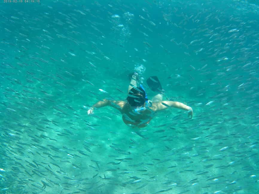 Crete: Snorkel Cretes Hidden Coves by Boat - Practical Tips for Travelers