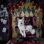 Croatia: Museum of Lost Tales - Why This Experience Offers Value
