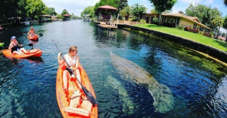 Crystal River: Kayak Rental - The Experience from Reviews