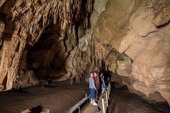 Cutta Cutta Caves Nature Park Guided Tours - Authentic Feedback from Visitors