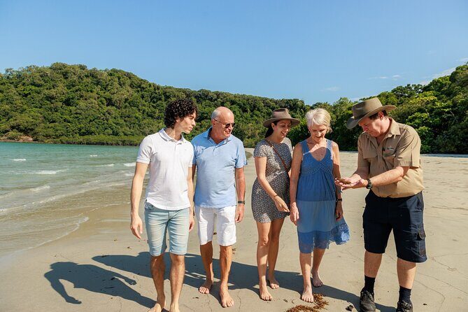 Daintree Rainforest and Cape Tribulation Day Tour from Cairns - Authentic Insights from Reviews