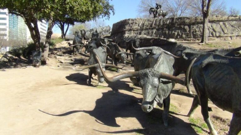 Dallas: Small-Group City Highlights Tour - The Value of a 75-minute Overview
