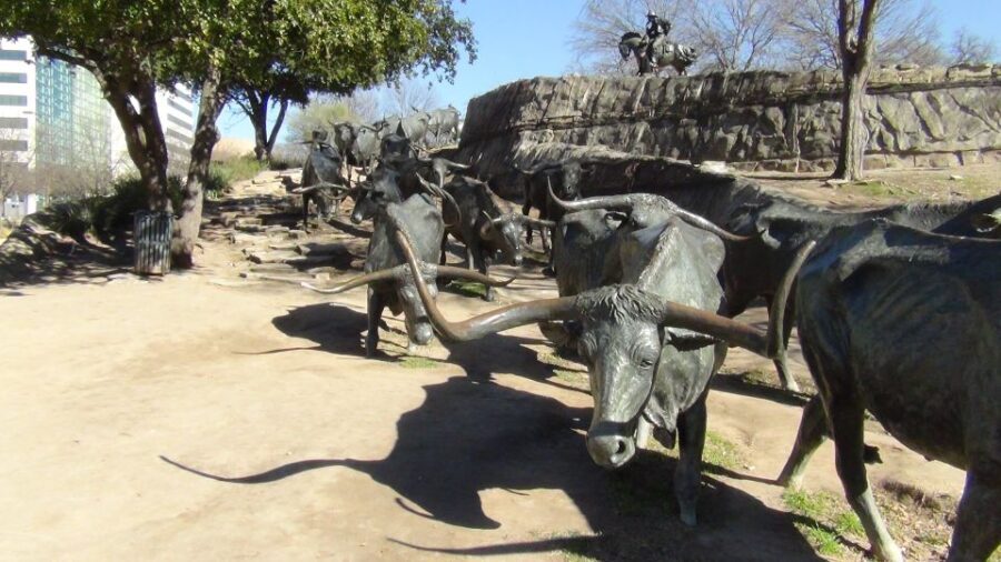 Dallas: Small-Group City Highlights Tour - The Value of a 75-minute Overview