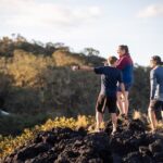 Day sea kayak tour Rangitoto Island - A Balanced Look at the Experience