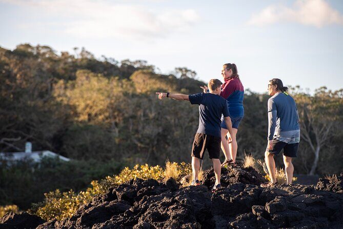 Day sea kayak tour Rangitoto Island - A Balanced Look at the Experience