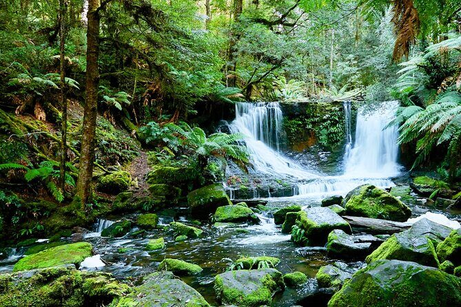Day Tour in Mt. Field, Mt. Wellington, Bonorong Wildlife Sanctuary and Richmond - What Makes This Tour Stand Out?