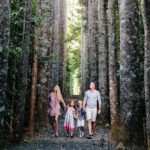 Day Tour to Paronella Park, Lake Barrine and Millaa Millaa Falls - Explore the Atherton Tablelands