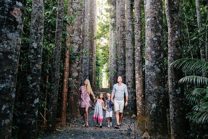 Day Tour to Paronella Park, Lake Barrine and Millaa Millaa Falls - Explore the Atherton Tablelands