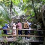 Daytime Scenic Rim Glow Worm Tour + Hop on Hop off Bus - An Overview of the Tour Experience