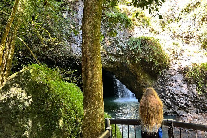 Deluxe Tamborine & Springbrook Day Tour with Skywalk & Glow Worms - What Reviewers Love Most