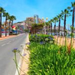 Denia - Old Town Private Walking Tour - A Detailed Look at the Tour Experience