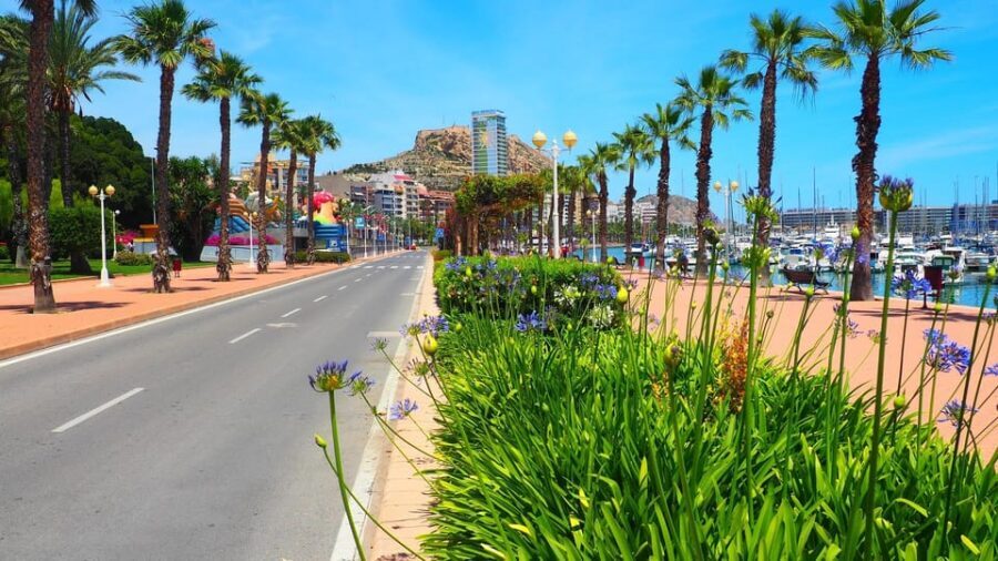 Denia - Old Town Private Walking Tour - A Detailed Look at the Tour Experience