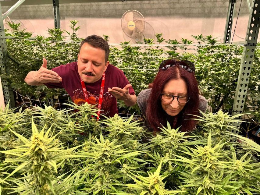 Denver: Private Luxury Cannabis Tour - Exploring Denver’s Cannabis Scene in Style