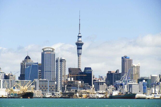 Departure Transfer: Auckland to Airport AKL by Luxury Van - How Does It Compare to Other Options?