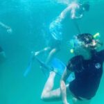 Destin: Snorkeling, Dolphins, and Crab Island - The Itinerary: What to Expect