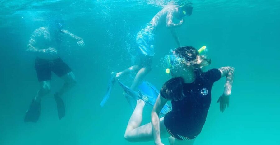 Destin: Snorkeling, Dolphins, and Crab Island - The Itinerary: What to Expect