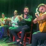 Dinner and UNESCO-protected flamenco show, in a private van from Alicante - Breakdown of the Itinerary