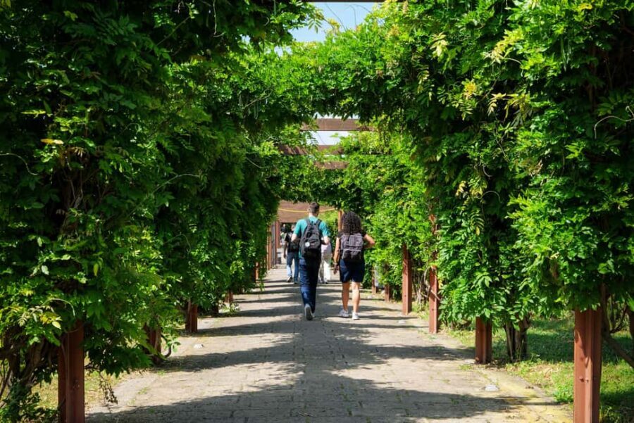 Discover Herculaneum: Guided tour in English of the ancient Roman city - Why Choose This Tour?