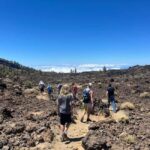 Discover Mount Teide and the Arenas Negras volcano on an intimate tour from the north. - Why This Tour Stands Out